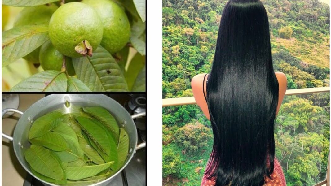 Evana María: La Peluquera Viral que Revoluciona el Mundo del Cabello ...