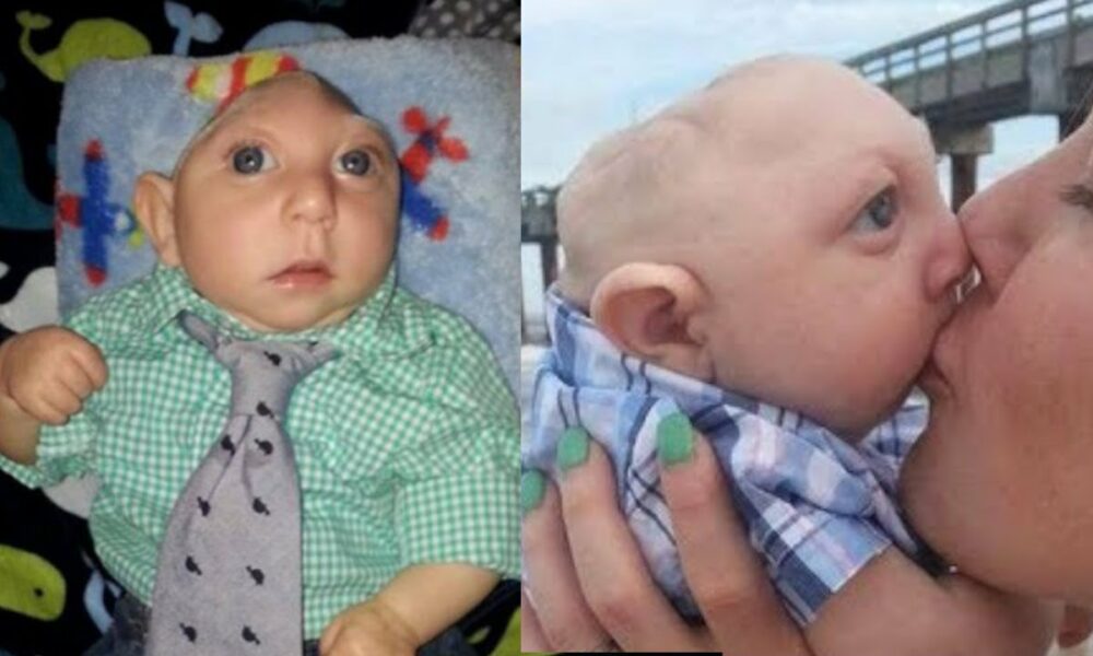 Increíbles bebés: ¡No creerás que son reales! – Noticito