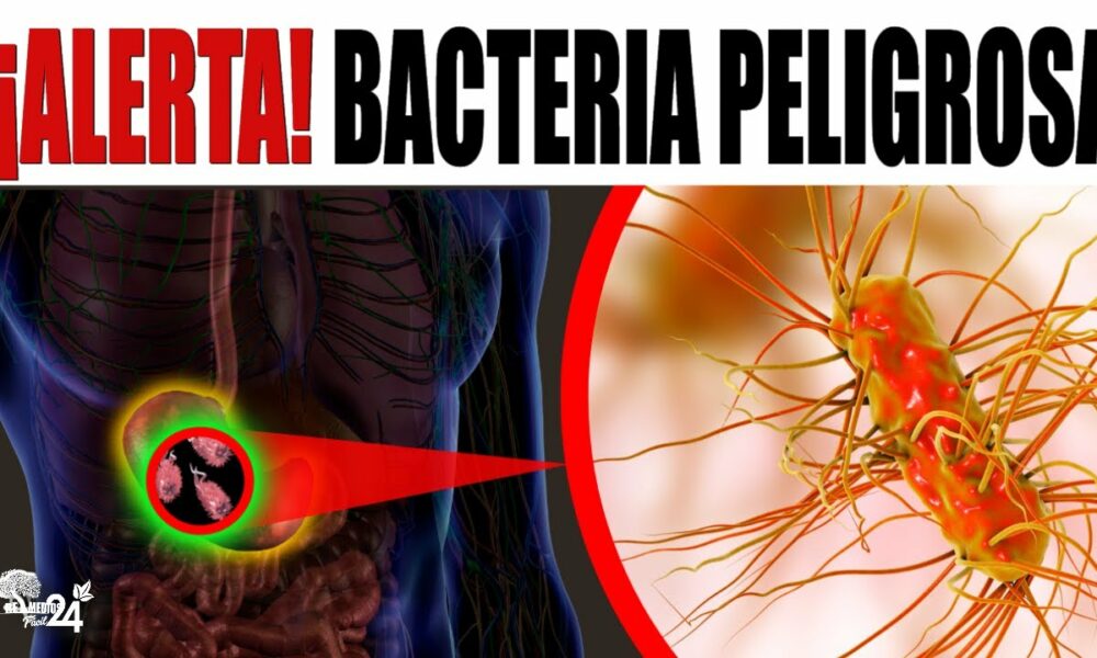 Descubre las 6 Bacterias Más Letales para la Salud Humana – Noticito