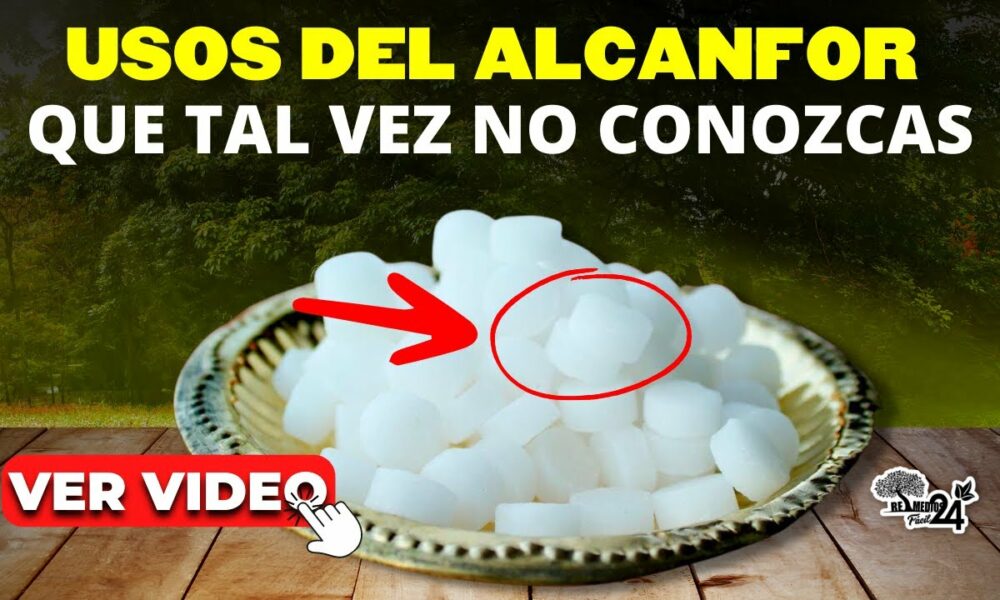 Descubre 8 Sorprendentes Usos del Alcanfor que No Te Imaginabas – Noticito